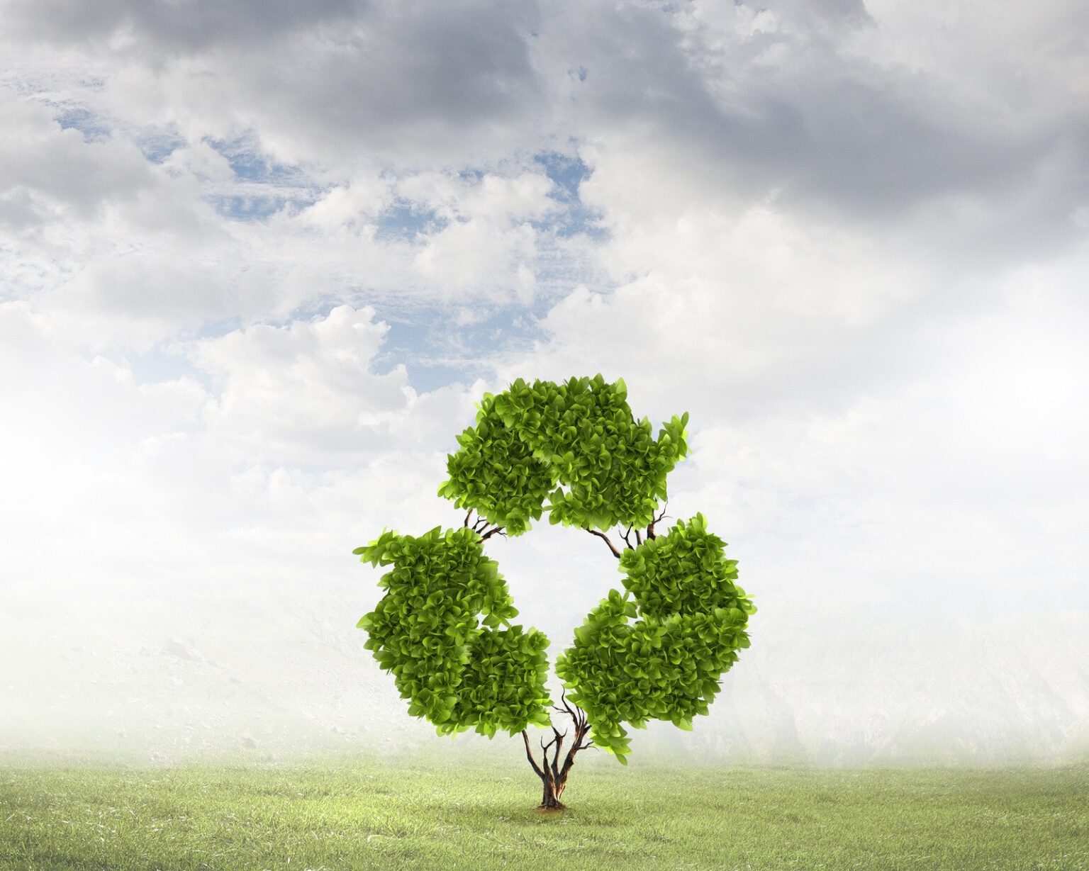 Sustainability - Samson Pallet Stability